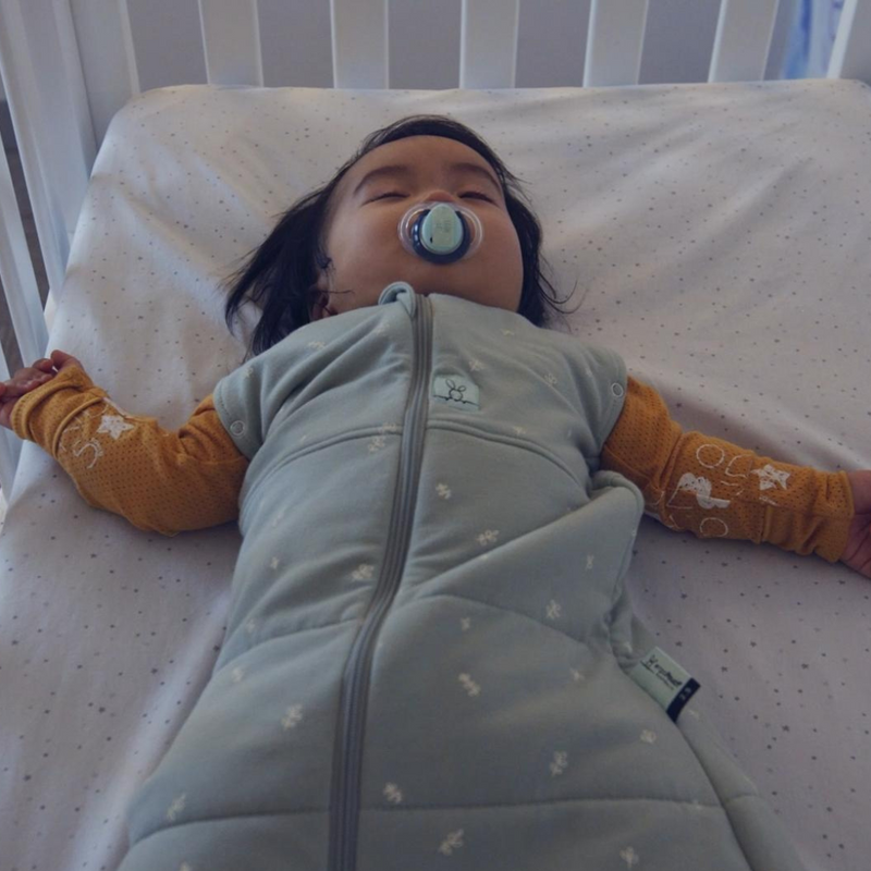 Safe Sleep Training – Red Nose Learning